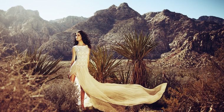 Join the Elegance In Nature Photo Contest and win A Donation Package ...